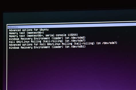 Grub2 No Windows 10 Option