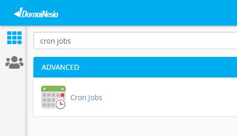 Setting Cronjob Di CPanel Hosting DomaiNesia Dengan Mudah