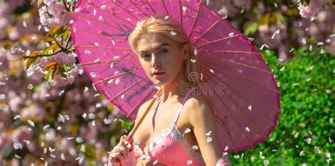 515 Sexy Header Stock Photos Free Royalty Free Stock Photos From Dreamstime