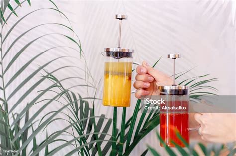 바다 갈매 나무속과 크랜베리 차를 곁들인 프렌치 프레스 찻주전자 감귤류 과일에 대한 스톡 사진 및 기타 이미지 감귤류 과일 건강한 생활방식 겨울 Istock