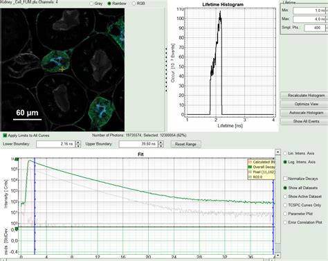 Howto Lifetime Fitting Using The Flim Script [time Resolved Fluorescence Wiki]
