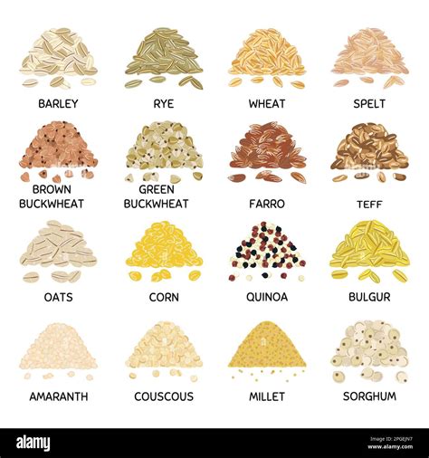 Cereals Millets Images At Ilene Haase Blog