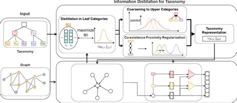 Figure 1 From Taxonomy Enhanced Graph Neural Networks Semantic Scholar