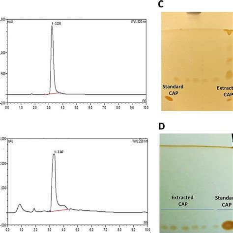Analysis Of Extracted Cap A Hplc Chromatogram For Standard Cap B Download Scientific