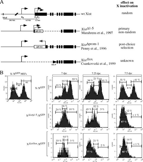 Primary Nonrandom X Inactivation In The Presence Of Different Xist Download Scientific Diagram
