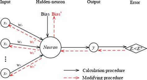 Diagram Of The Neuron Calculation Procedure Download Scientific Diagram
