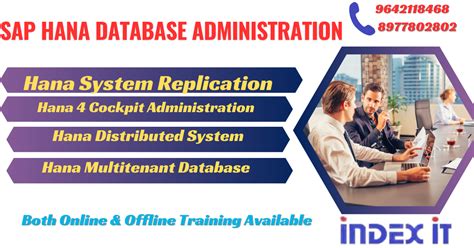 Sap Hana Database Administration Sap Basis Course