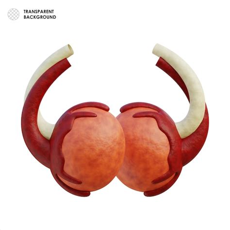 Premium Psd 3d Render Of Human Testicles Anatomy