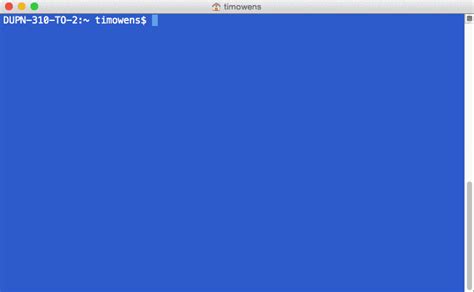 Brewing A Local Development Environment