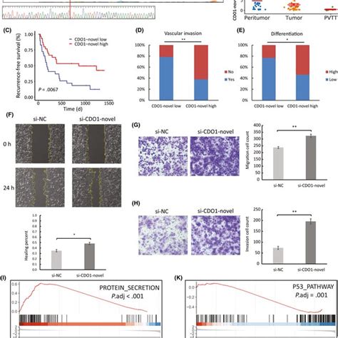 Novel Transcript Profiling Identified In Hepatocellular Carcinoma Download Scientific Diagram