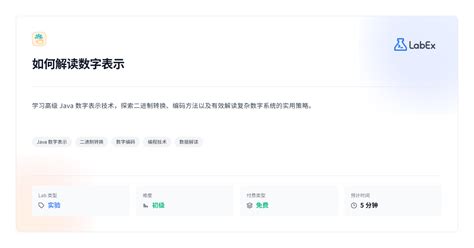 如何解读数字表示 Labex