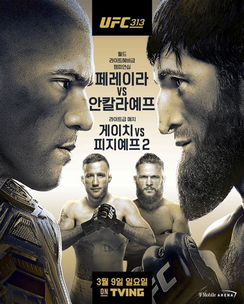 Ufc 라이트헤비급 챔피언 페레이라 안칼라예프와 타이틀 4차 방어전