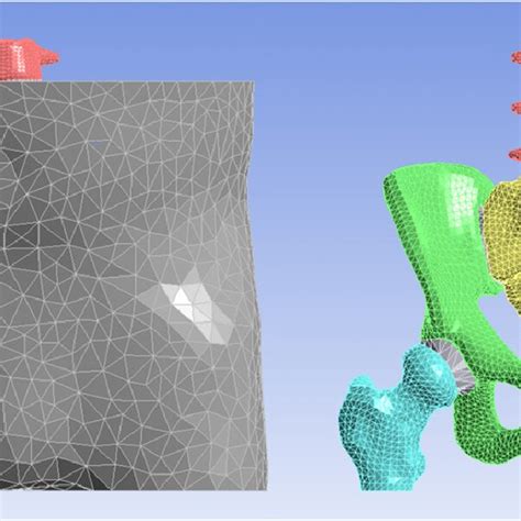 Finite Element Model Of The Pelvis Including Soft Tissue Displayed On Download Scientific