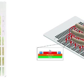 PDF Static Hand Gesture Recognition Using Capacitive Sensing And Machine Learning