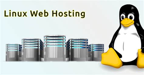 Setup Webserver And Ssl By Irfantahir Fiverr