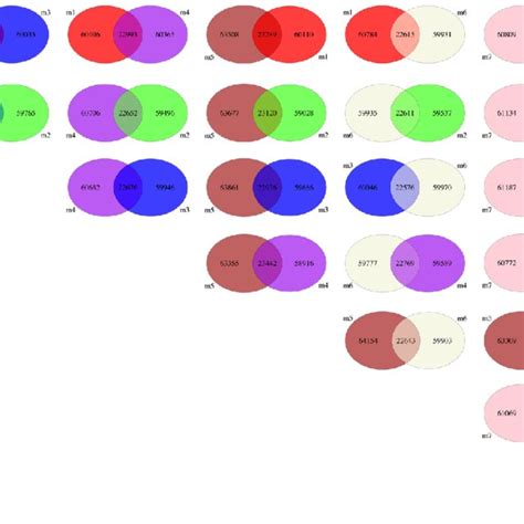 Snp Comparison Among Individuals Of Artp Treated Japanese Flounder Download Scientific Diagram