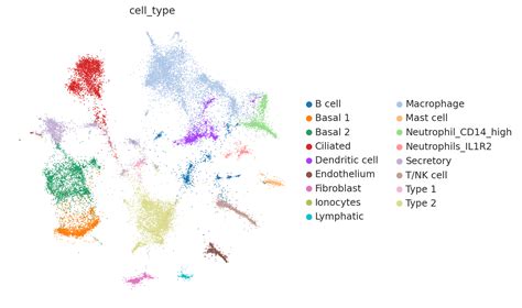 Atlas Level Integration Of Lung Data — Scvi Tools