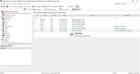 A Conclusive Rapise Automation Tool Tutorial Codoid