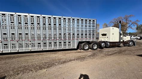 Se Van Para Siempre Los Becerros Chicos😔 Youtube