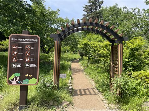 과천야생화자연학습장을 다녀오다 지역내일