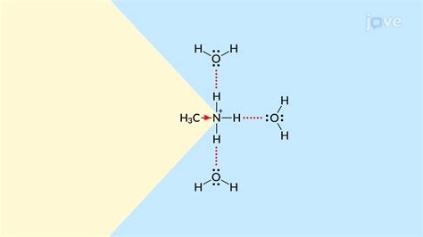Video Basicity Of Aliphatic Amines