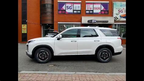 더엘엑스 오산 팰리세이드 화이트펄 솔라가드 Lx 퀀텀블랙 시공 Youtube