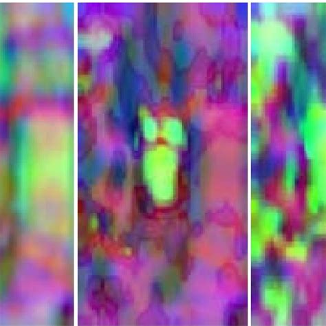 Visualization Of Feature And Attention Maps Of The Convolutional Layer Download Scientific