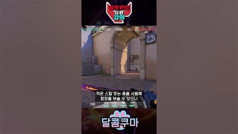 사이퍼의 핵심 스킬 함정의 기초 Youtube