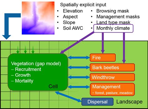 forest ecology openaccess