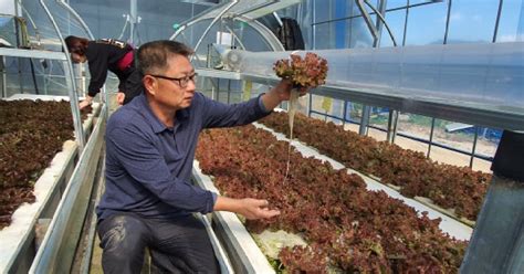 물고기 양식과 농작물을 함께 일석이조친환경 자연순환농법 시험연구