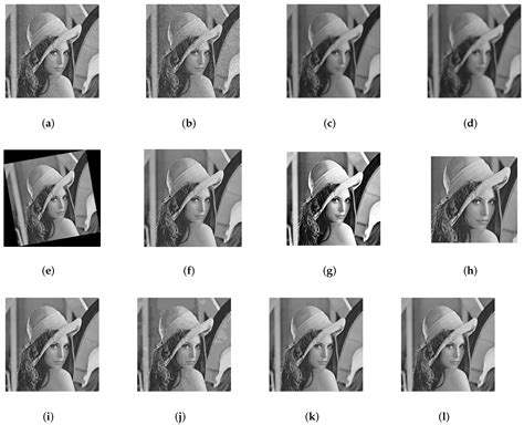 a hybrid robust image watermarking method based on dwt dct and sift for