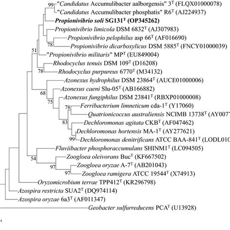 Christopher Rensing Professor Phd Chinese Academy Of Sciences Beijing Cas Research