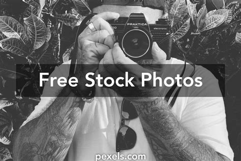 Louvers And Shading Devices Photos Download The Best Free Louvers And Shading Devices Stock