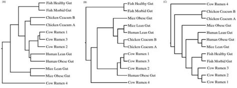 Clustering Pattern Of Metagenomic Signatures Corresponding To The Gut