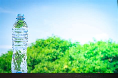 하늘과 나무 흐린 배경에 플라스틱 만든 병 물 벽지를 사용 하 여 패키지 또는 이미지 및 복사 공간을 새로 고침 제품 0명에 대한 스톡 사진 및 기타 이미지 Istock