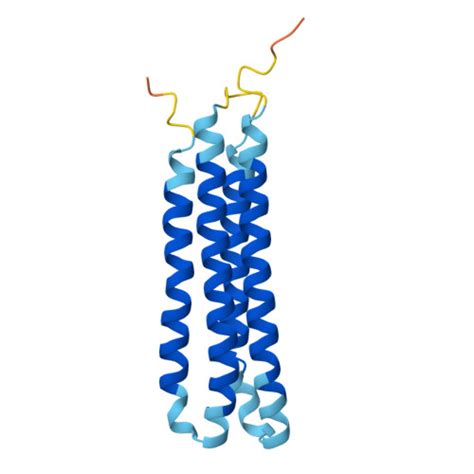 Rcsb Pdb Afafp23957f1 Computed Structure Model Of V Type Proton