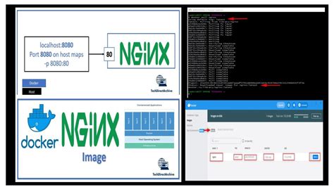 Pull And Deploy Nginx Container Images From Docker Hub Techdirectarchive