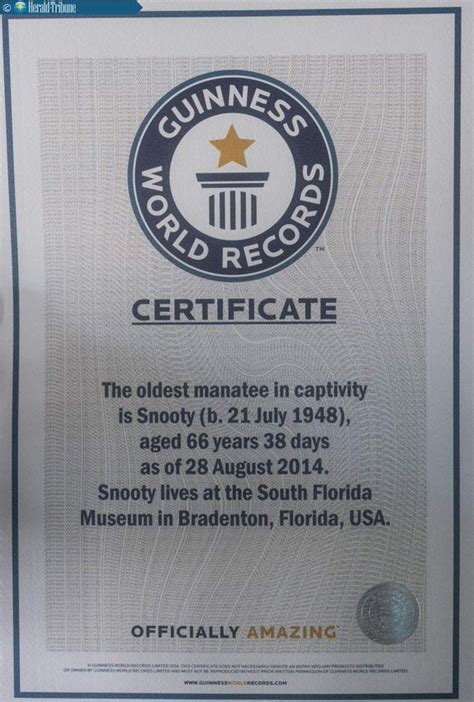 Дэлхийн хамгийн хөгшин далайн үхэр Снүүти нас баржээ