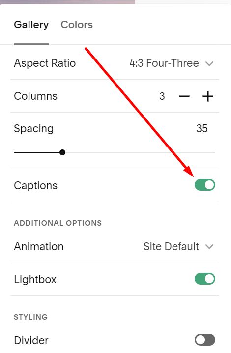 Fix Squarespace Gallery Description Not Showing Other Tips