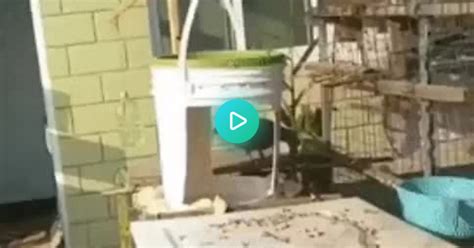 Automation Album On Imgur