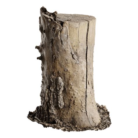 Bonsai Tree Stl Free Poliigon