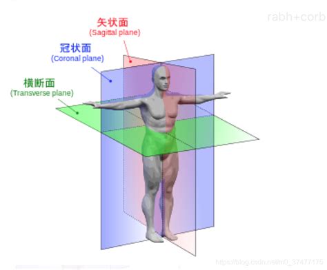 【simpleitk】胸部ct数据3d Space归一化，以及3d Plotsimpleitk处理ct图像 Csdn博客