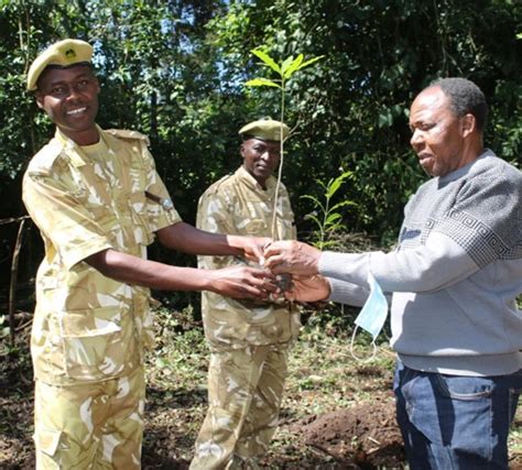 Your JTree Donations Are Changing Lives And Healing Wetlands In Kenya