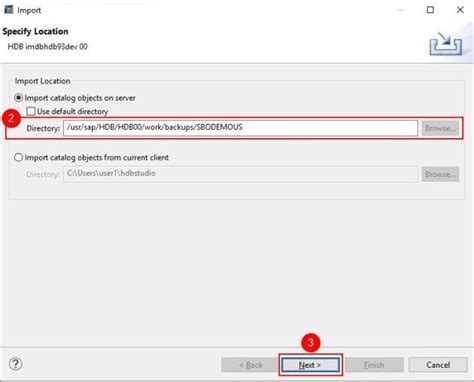 How To Export And Import The Sap Hana Schema Sap Basis Administrator