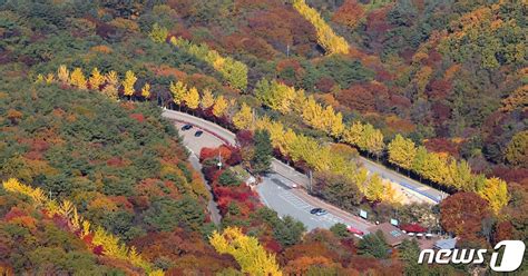단풍 물드는 적상산