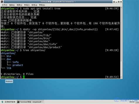 Linux操作命令（二） 蓝桥云课
