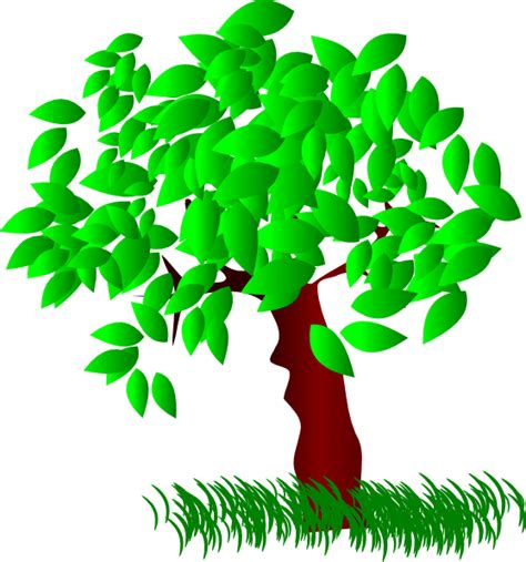 Tree With Leaves Clip Art