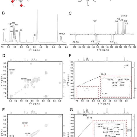 Structure Elucidation Of Rosmarinic Acid RA By 2D NMR Spectroscopy