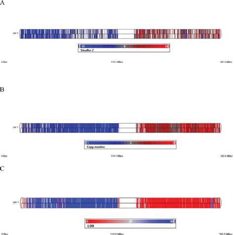 Comparison Of Copy Number Results On Chromosome 1 Obtained With Ecna