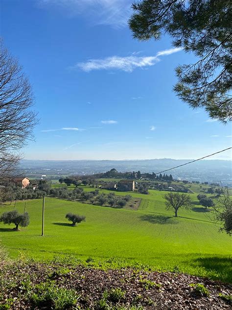 Retreats Mustafa Ammar